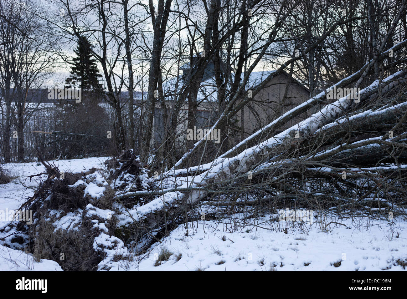 Storm Alfrida, Åland islands, Baltic Sea, Finland, 12 January 2019 ...
