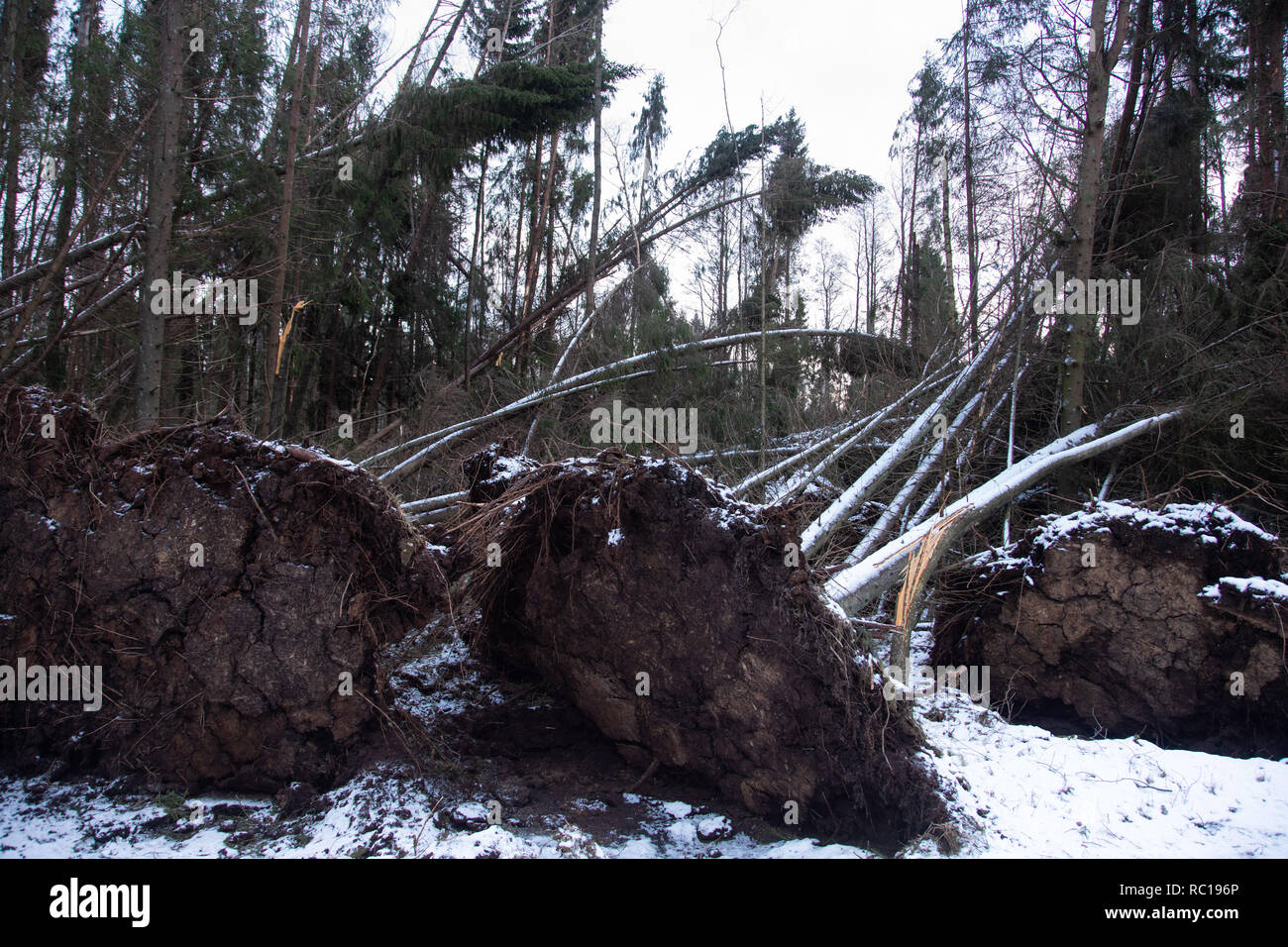 Storm Alfrida, Åland islands, Baltic Sea, Finland. 12th Jan, 2019. Storm devastation across ...