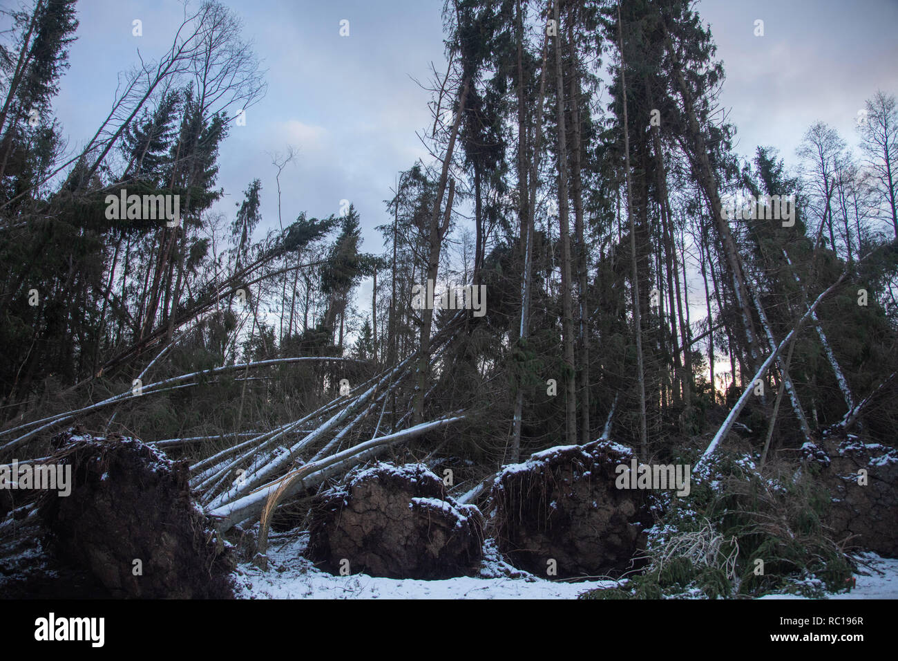 Storm Alfrida, Åland Islands, Baltic Sea, Finland, 12 January 2019 ...