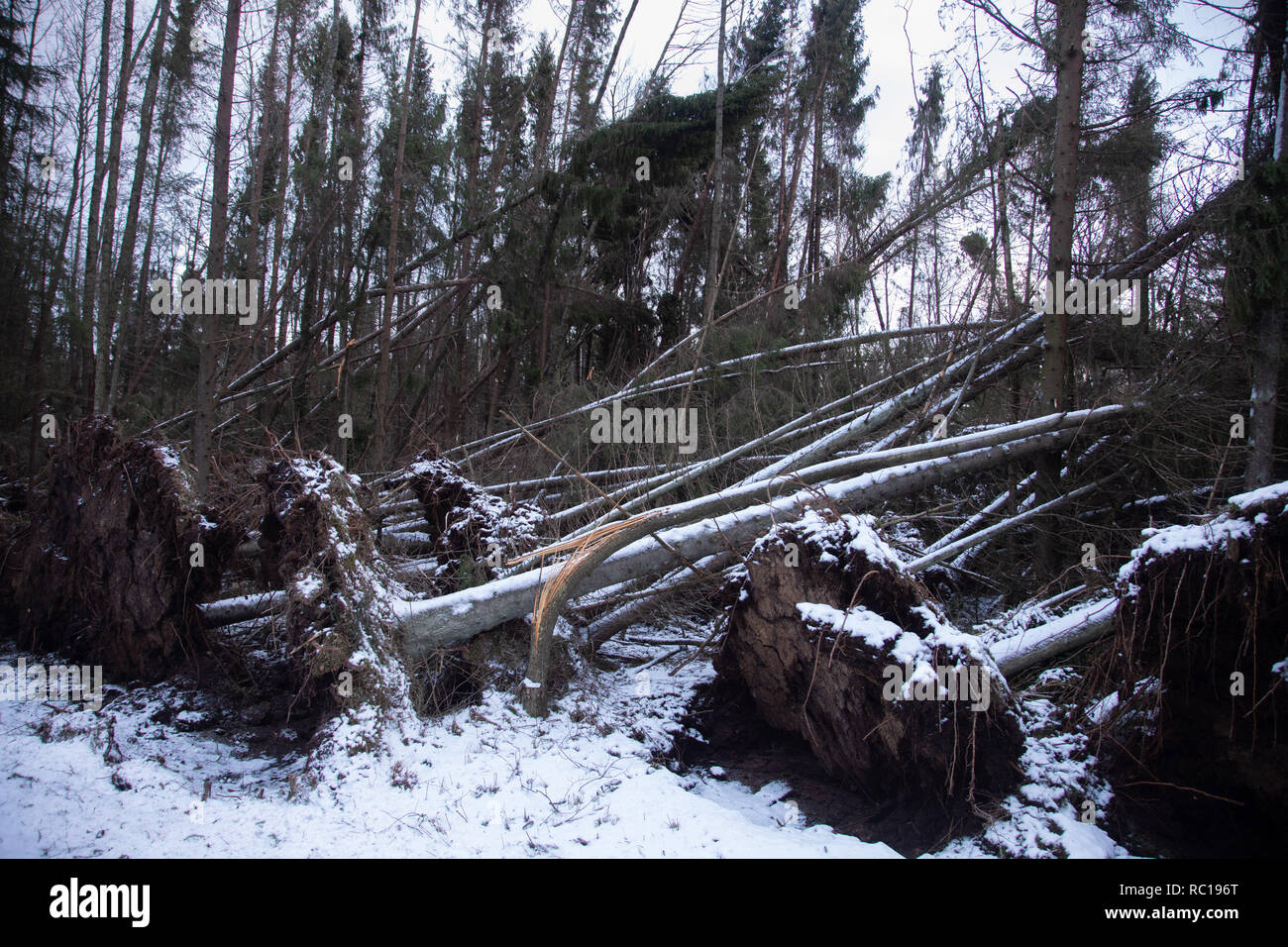 Storm Alfrida, Åland islands, Baltic Sea, Finland. 12th Jan, 2019 ...