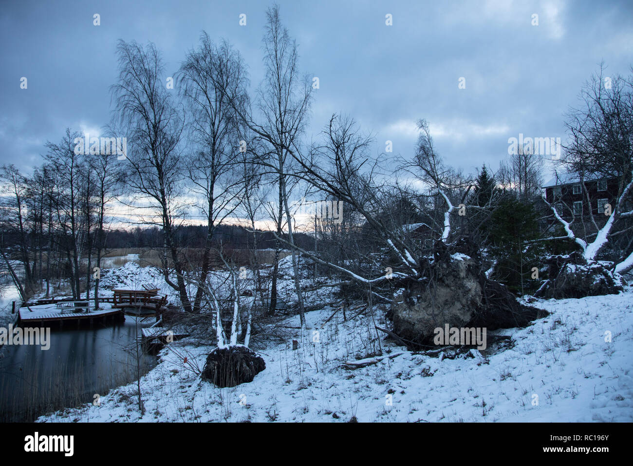 Storm Alfrida, Åland islands, Baltic Sea, Finland, 12 January 2019 ...