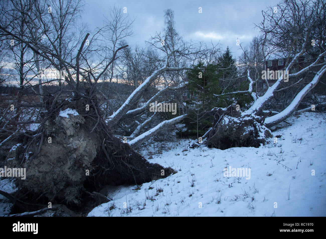 Storm Alfrida, Åland islands, Baltic Sea, Finland, 12 January 2019 ...