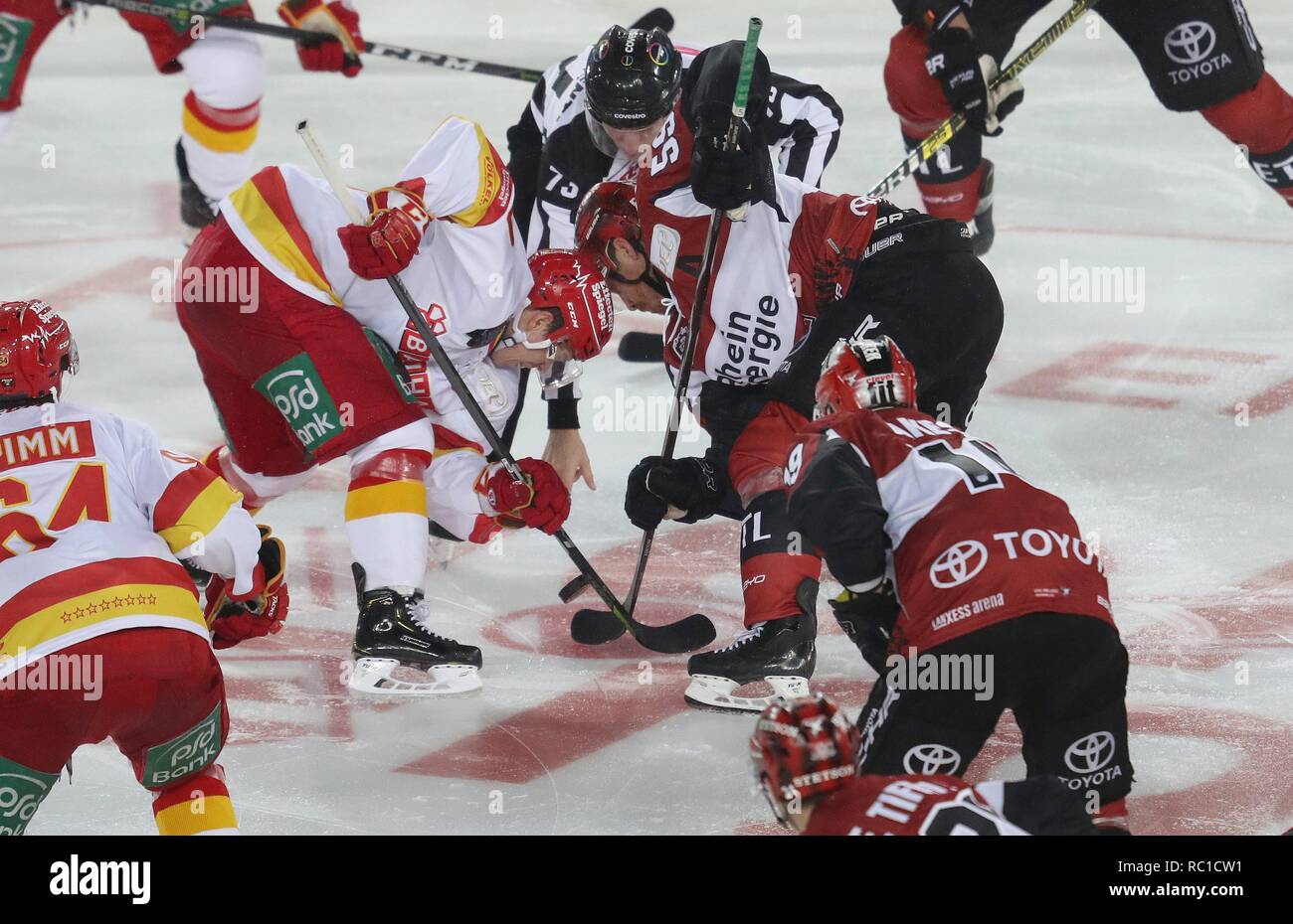 Cologne, Deutschland. 12th Jan, 2019. firo Ice Hockey 12.01.2019 DEL ...