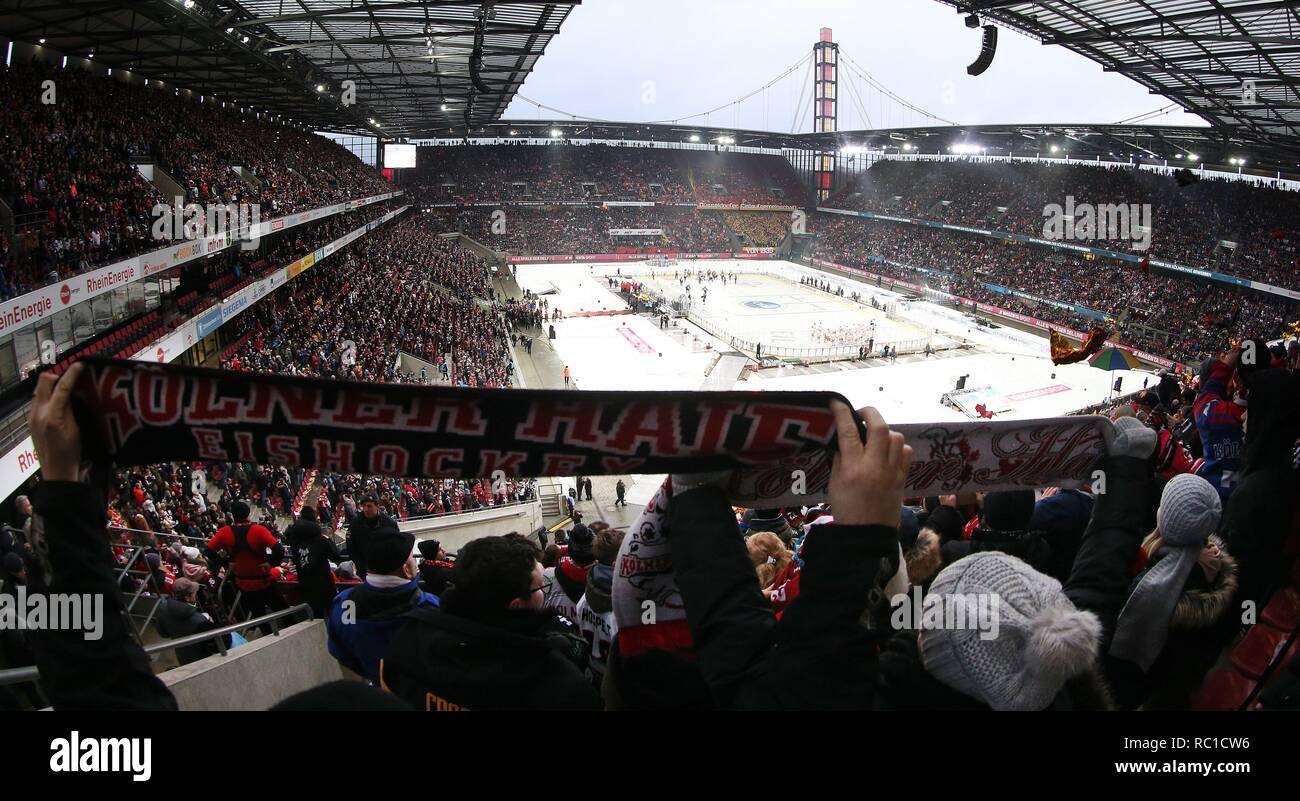 Cologne, Deutschland. 12th Jan, 2019. firo Ice Hockey 12.01.2019 DEL ...