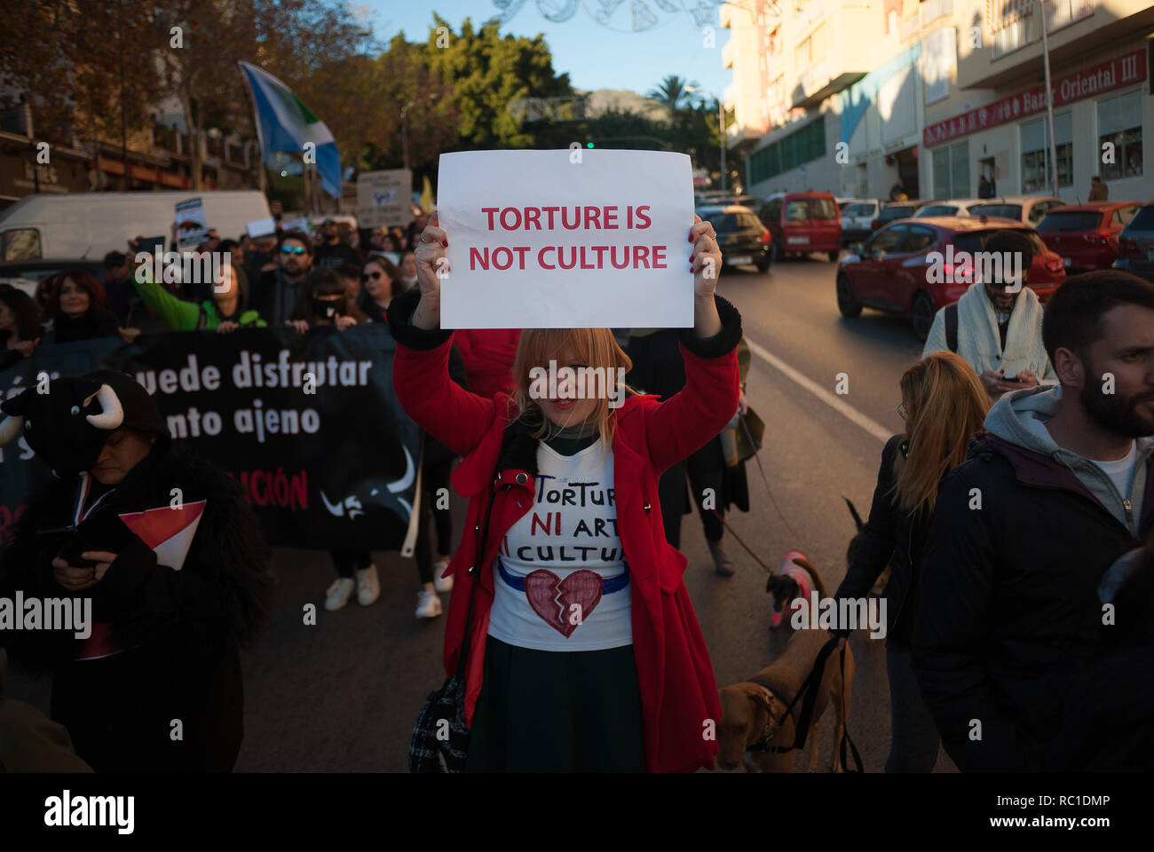 Anti bullfights protesters hi-res stock photography and images - Alamy