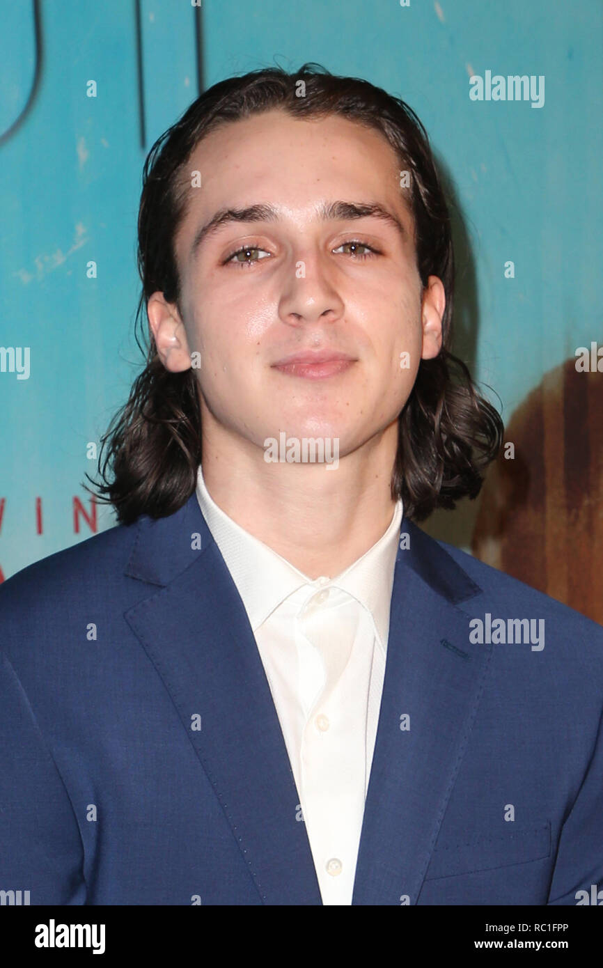 Los Angeles, California, USA. 10th Jan, 2019. Richard Meehan during the ...