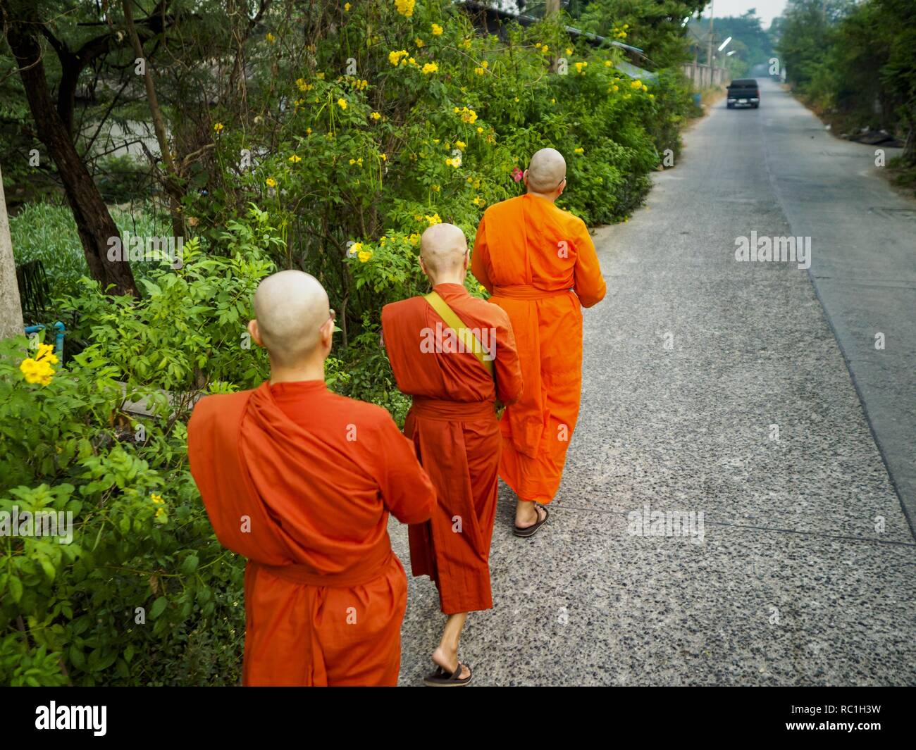 Nakhon Pathom, Nakhon Pathom, Thailand. 13th Jan, 2019. DHAMMAVANNA, a ...