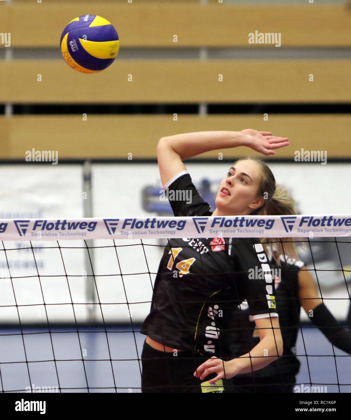 Rote raben vilsbiburg hi-res stock photography and images - Alamy