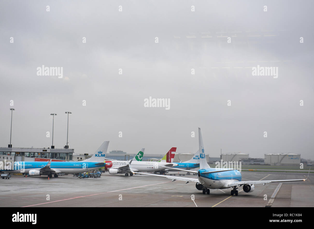 KLM Royal Dutch Airlines planes are seen at Amsterdam Schiphol Airport ...