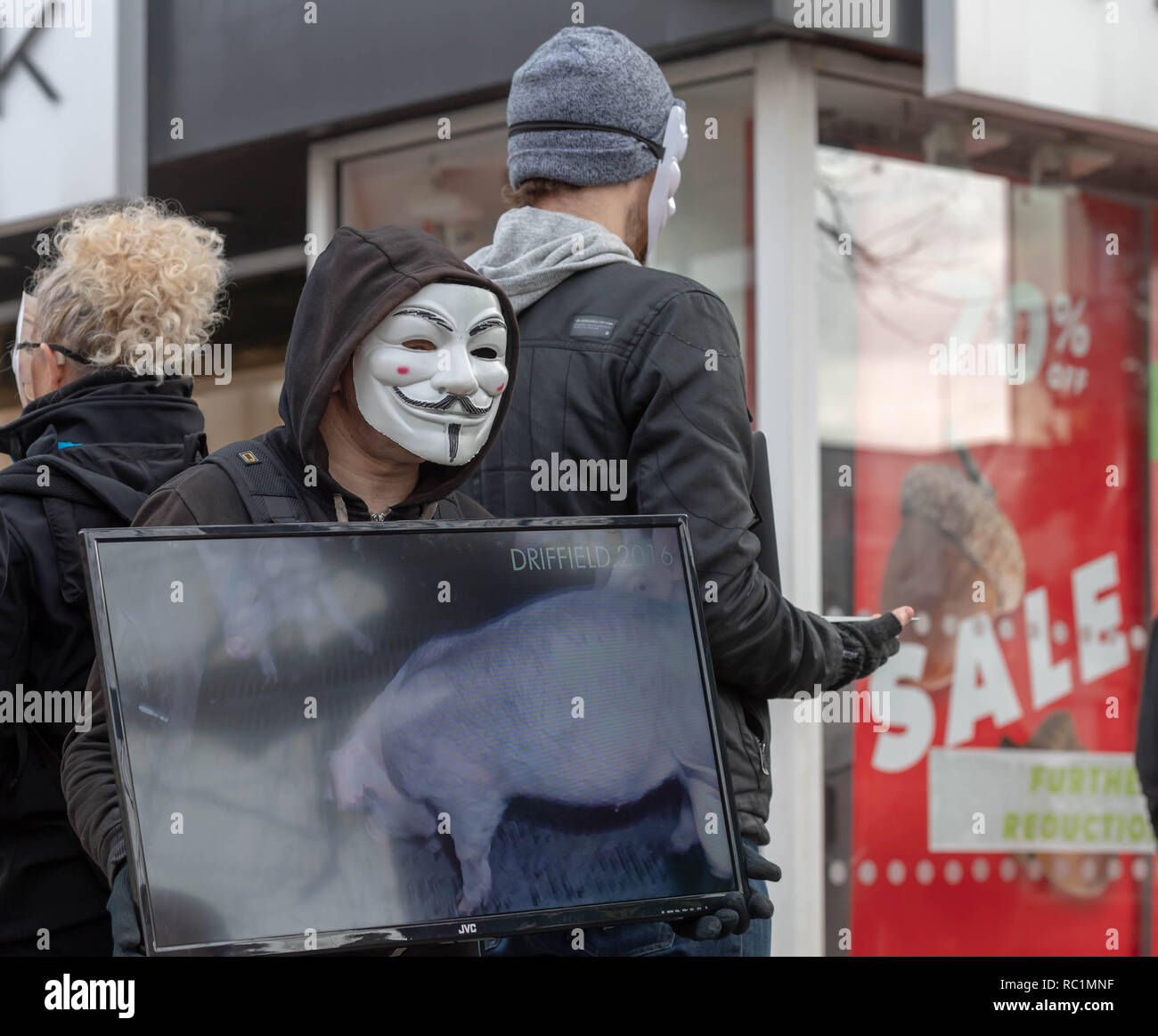 Animal cruelty hi-res stock photography and images - Alamy