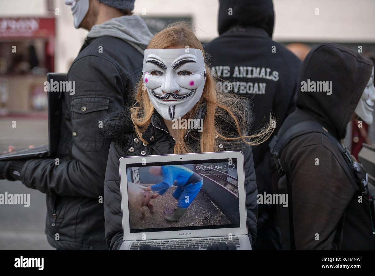 Truth about animals hi-res stock photography and images - Alamy