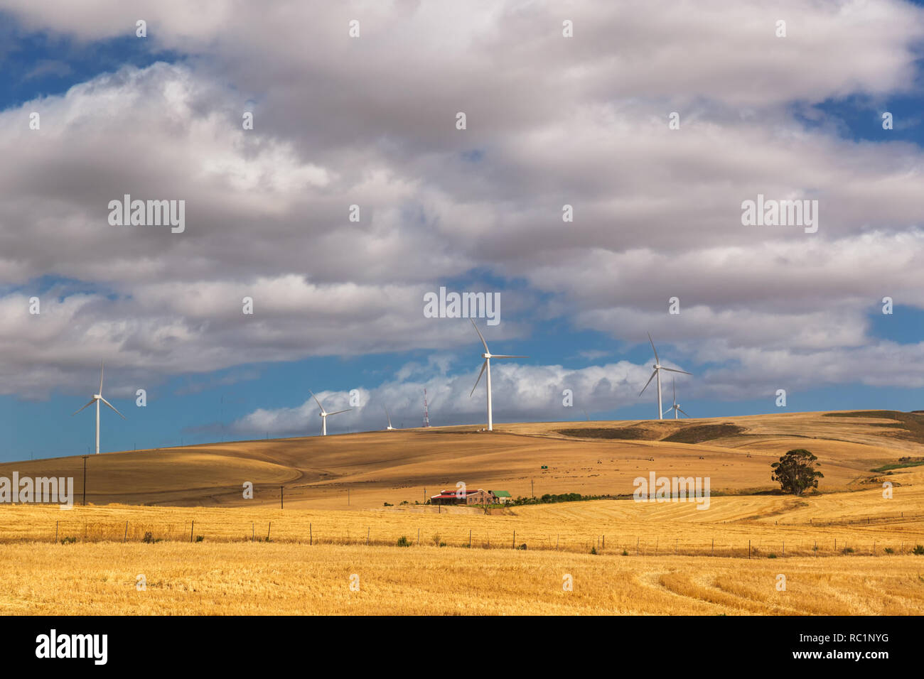 Wind turbines africa renewable energy africa hi-res stock photography ...