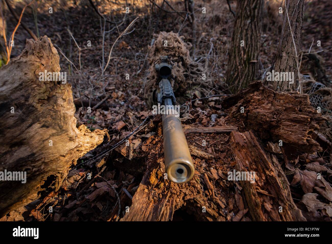 187th infantry regiment hi-res stock photography and images - Alamy