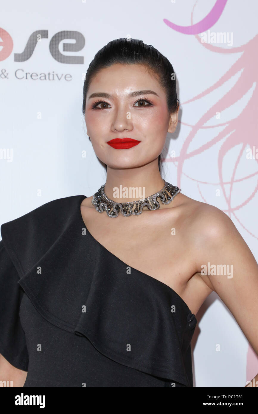 11th Annual International Fashion SuperModel Grand Finale Dinner Gala ...