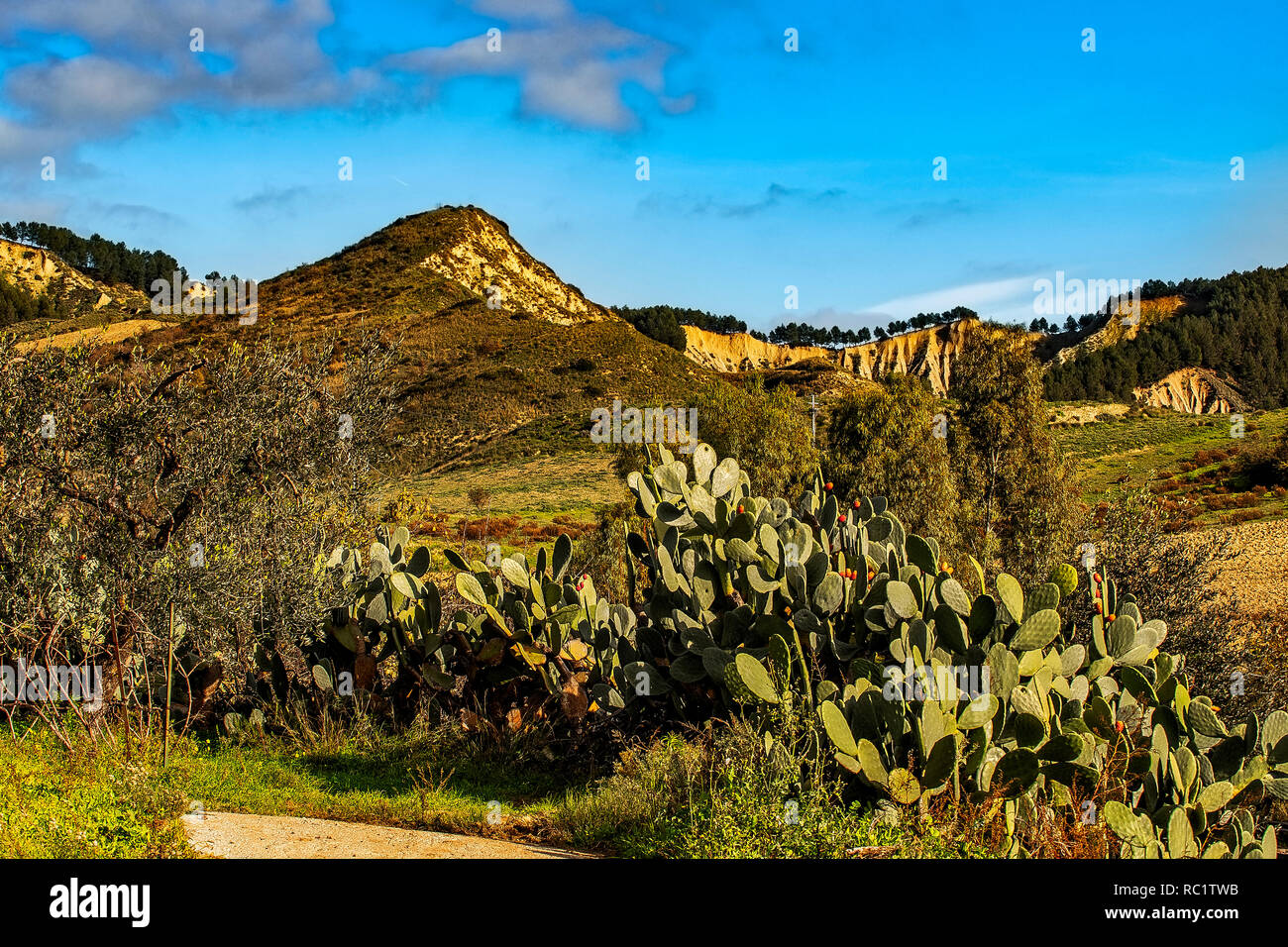 Italy Basilicata Pisticci badlands Stock Photo - Alamy