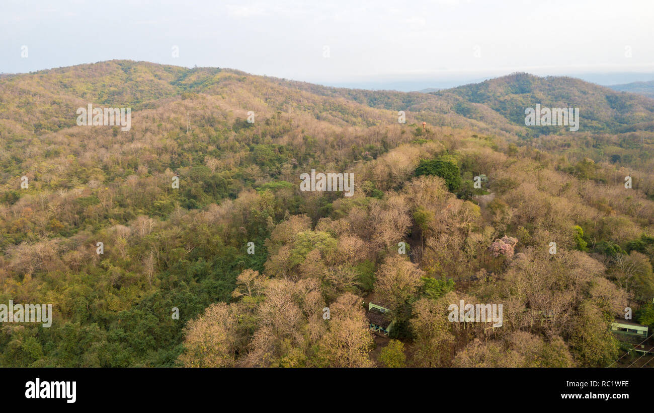 deciduous forest on mountain near Sirikit Dam at Uttaradit province ...