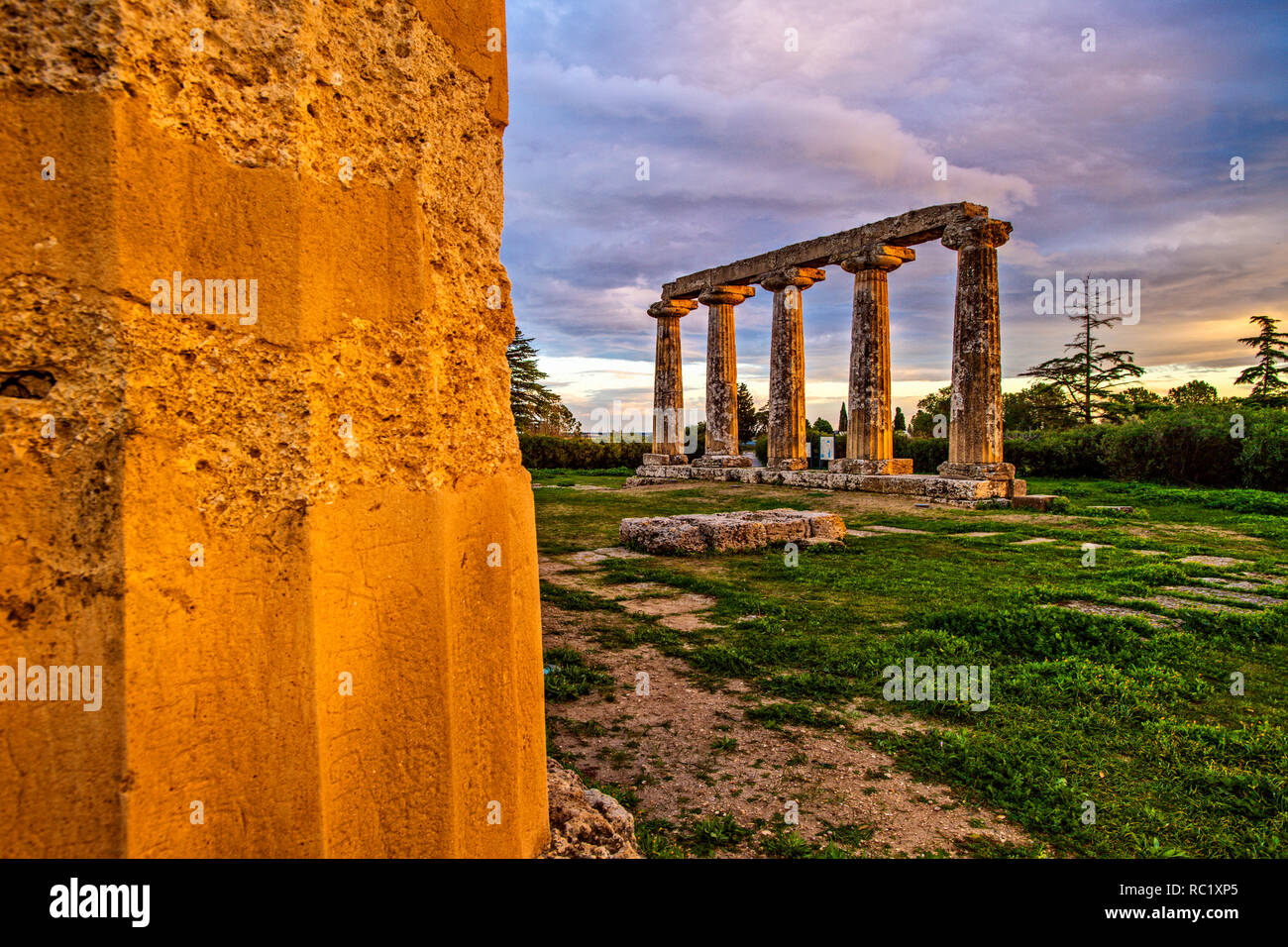 Italy Basilicata Metaponto Tavole Palatine or Temple of Hera Stock ...