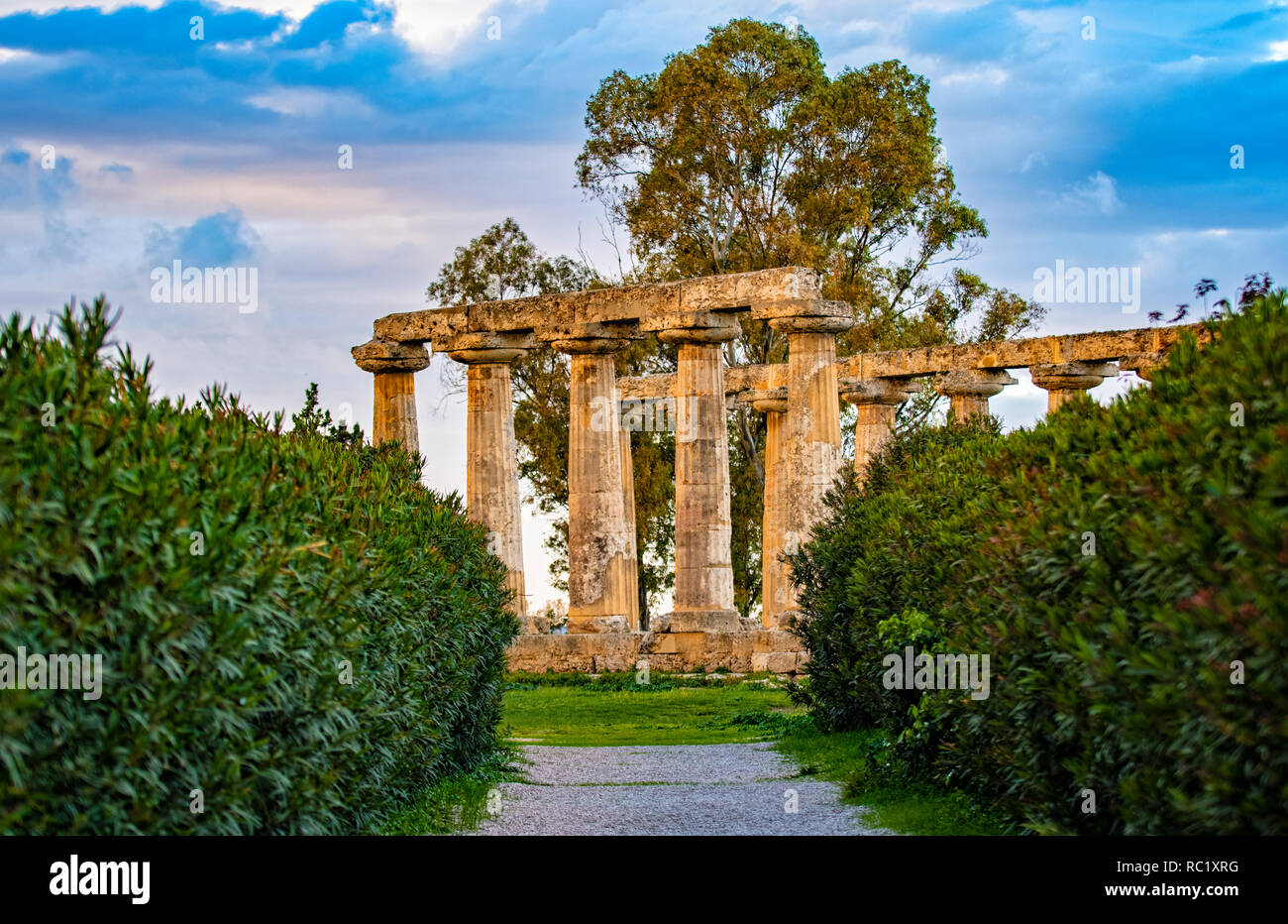 Italy Basilicata Metaponto Tavole Palatine or Temple of Hera Stock ...