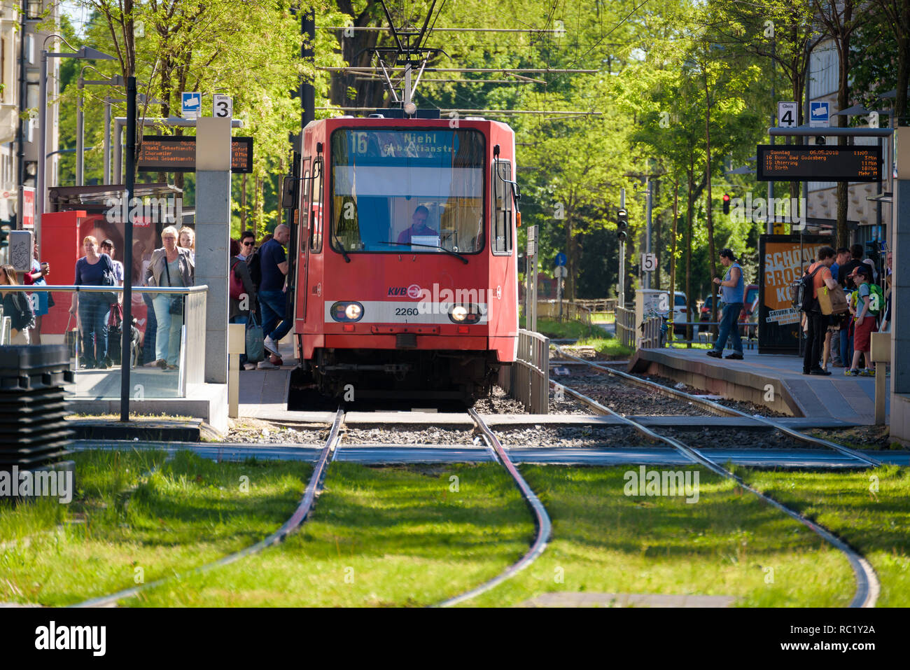 Public Transport in Cologne, Germany, line 16 tram. The public ...
