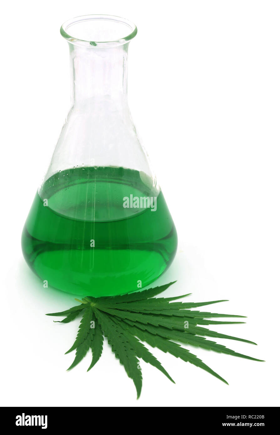Cannabis leaves with extract in conical flask over white background ...