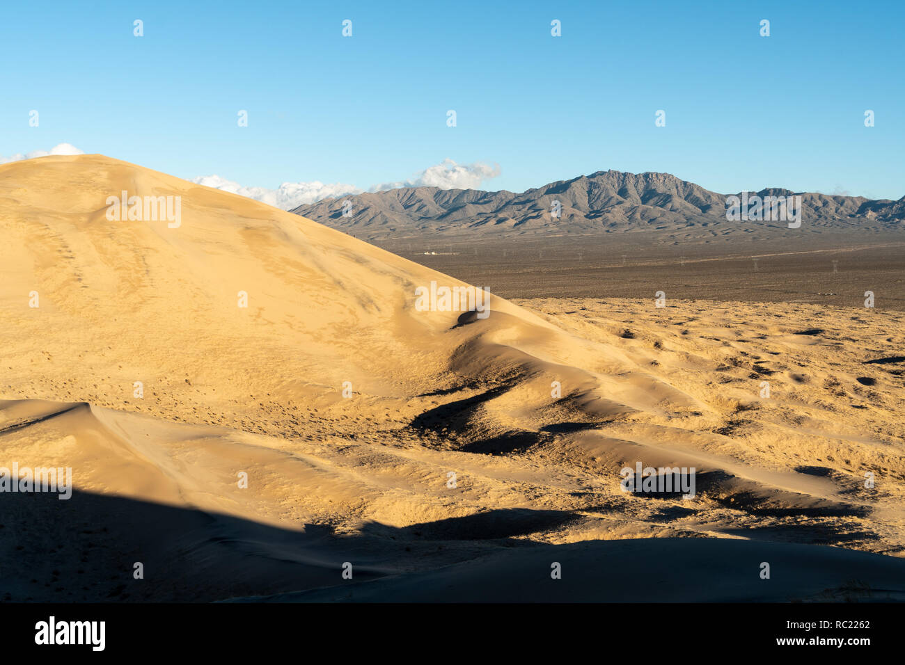 Wind carved ridge in a sand dune, Kelso Sand Dunes, Mojave National ...