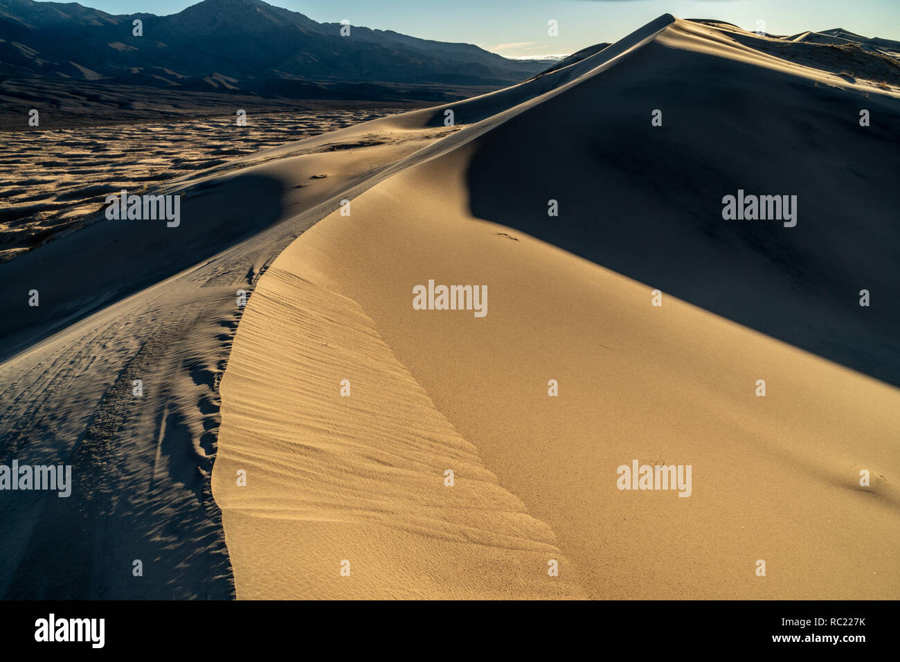Wind carved ridge in a sand dune, Kelso Sand Dunes, Mojave National ...
