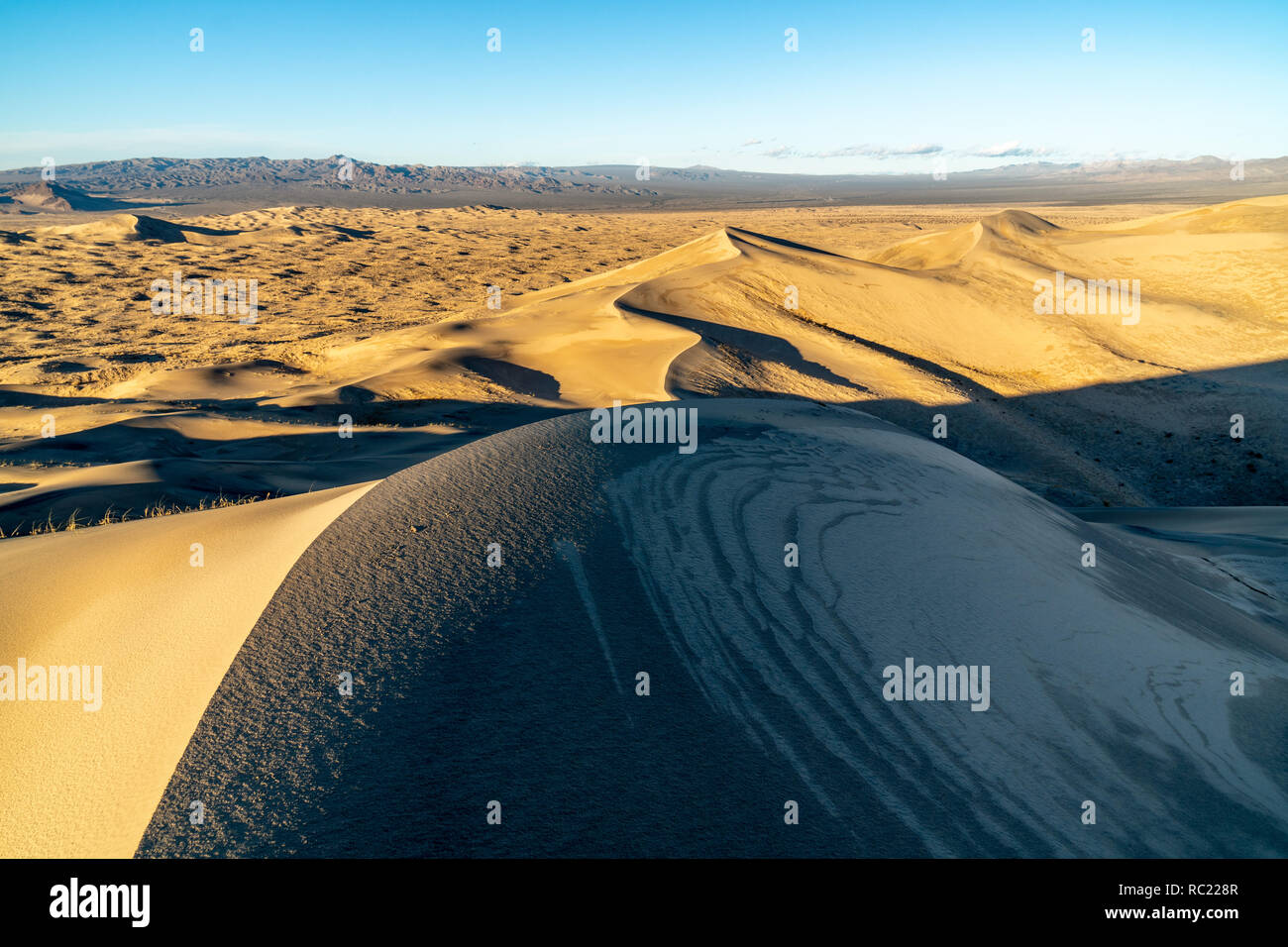Wind carved ridge in a sand dune, Kelso Sand Dunes, Mojave National ...