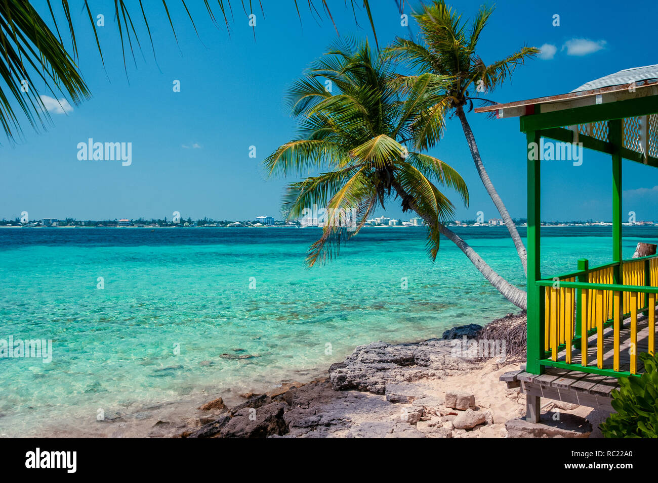Tropical island in Bahamas. View on the beach with palm tree. Vacation ...