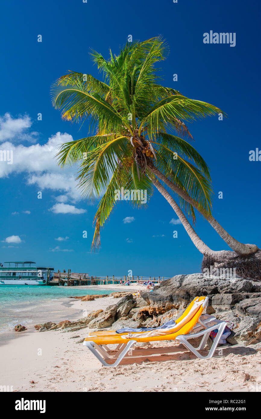 Tropical island in Bahamas. View on the beach with palm tree. Vacation ...
