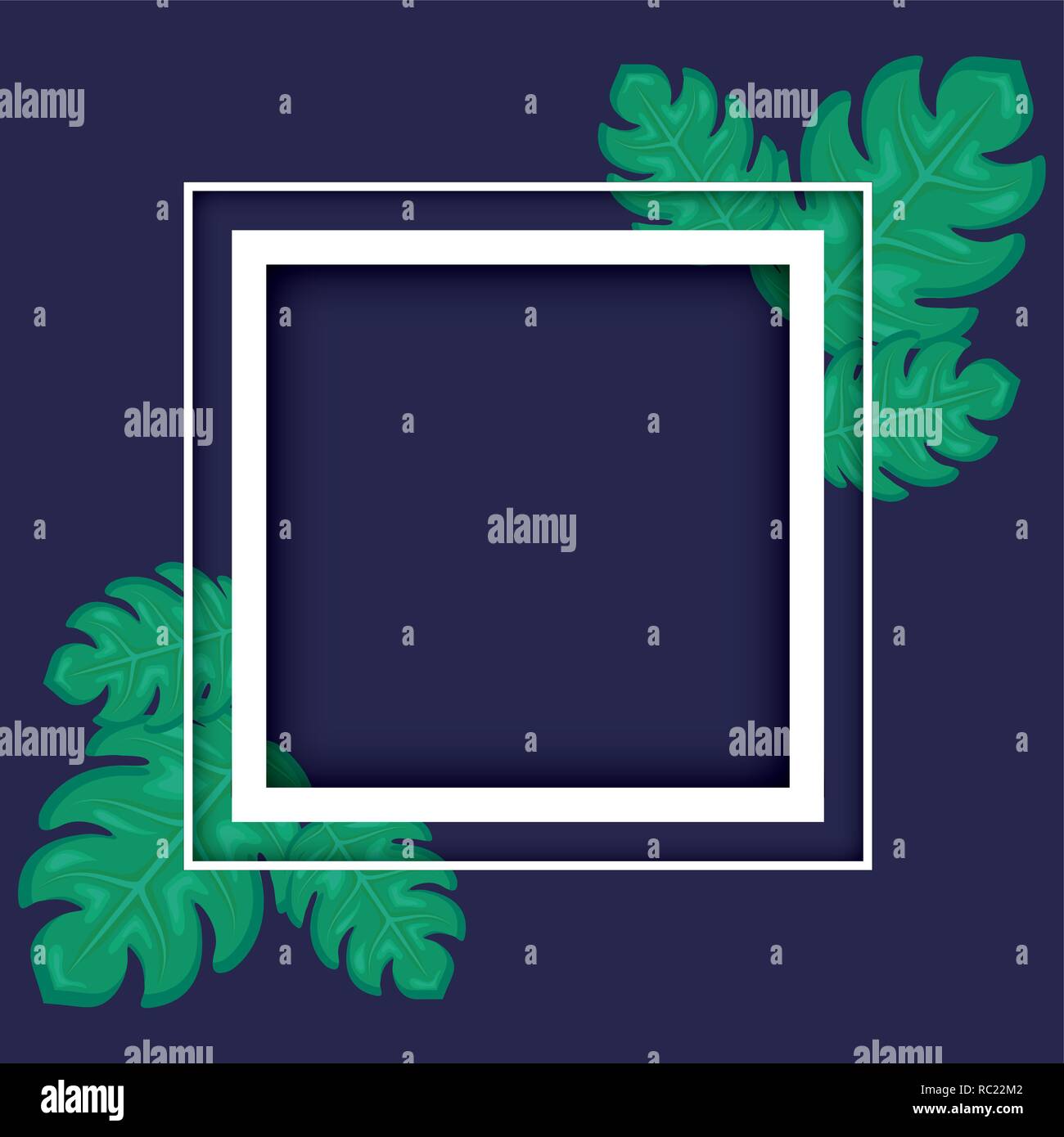 Leafs plants decorative frame hi-res stock photography and images - Alamy