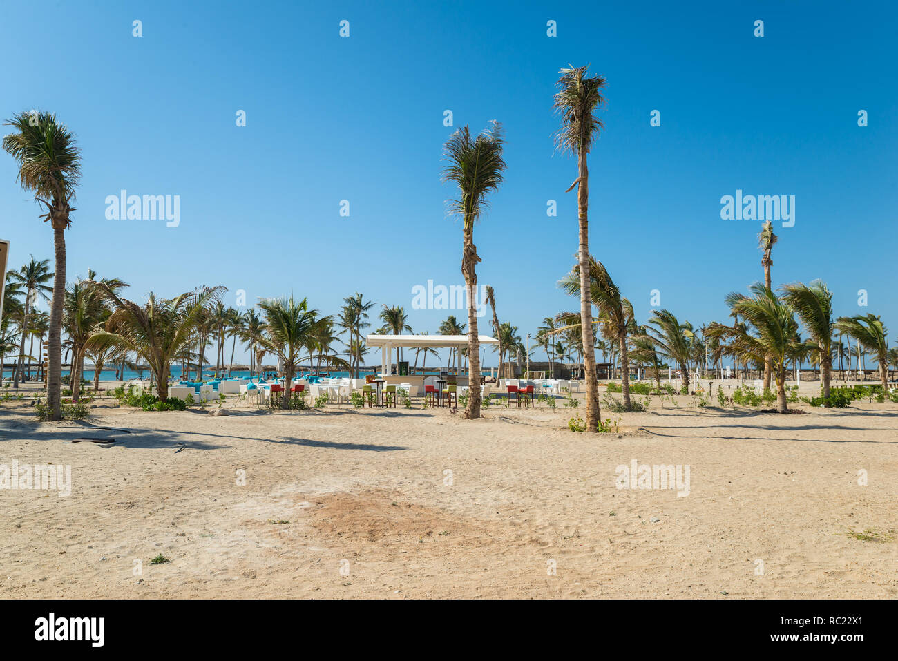Beach near Al Fanar Hotel in Salalah, Dhofar Governorate, Oman Stock ...