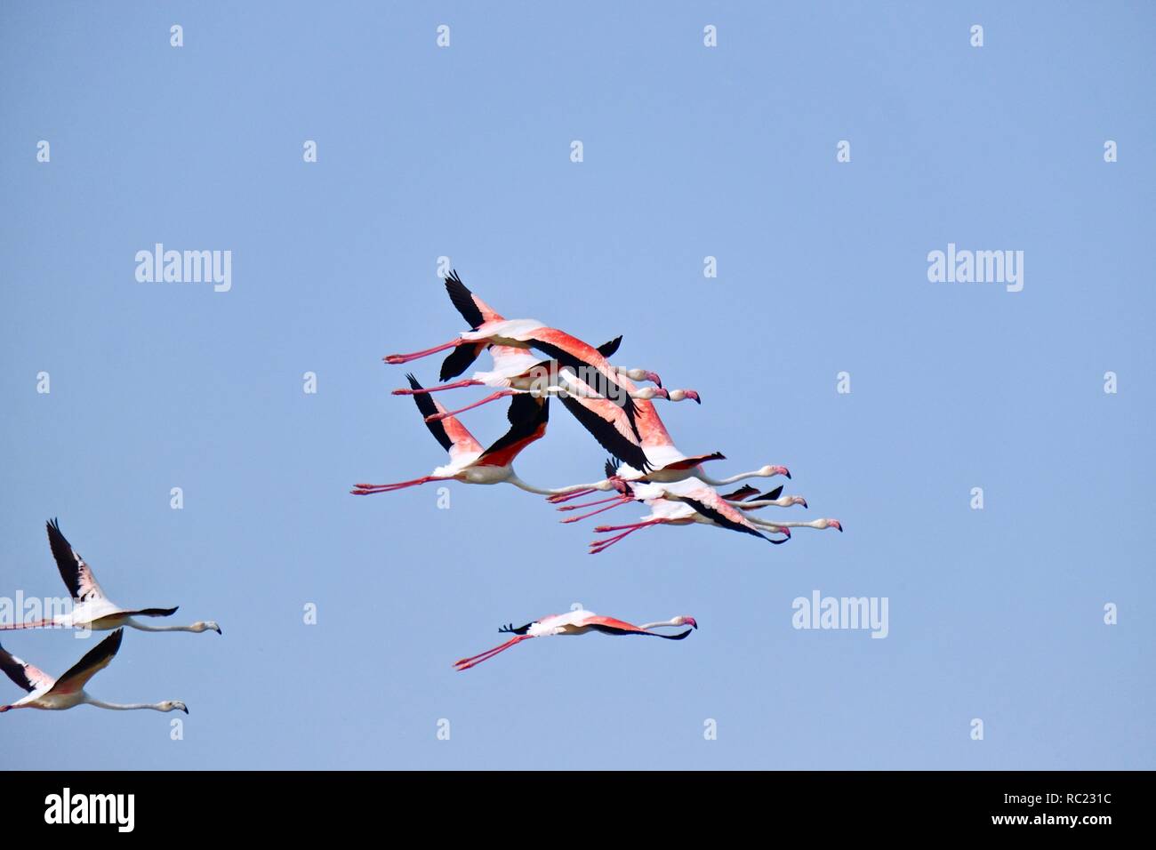 Dam backwater hi-res stock photography and images - Alamy