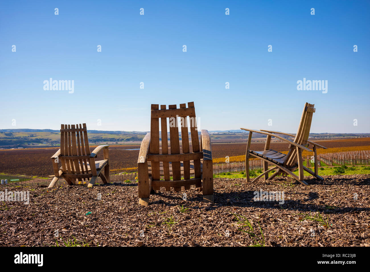 Vineyard of the Santa Maria valley, California Stock Photo - Alamy