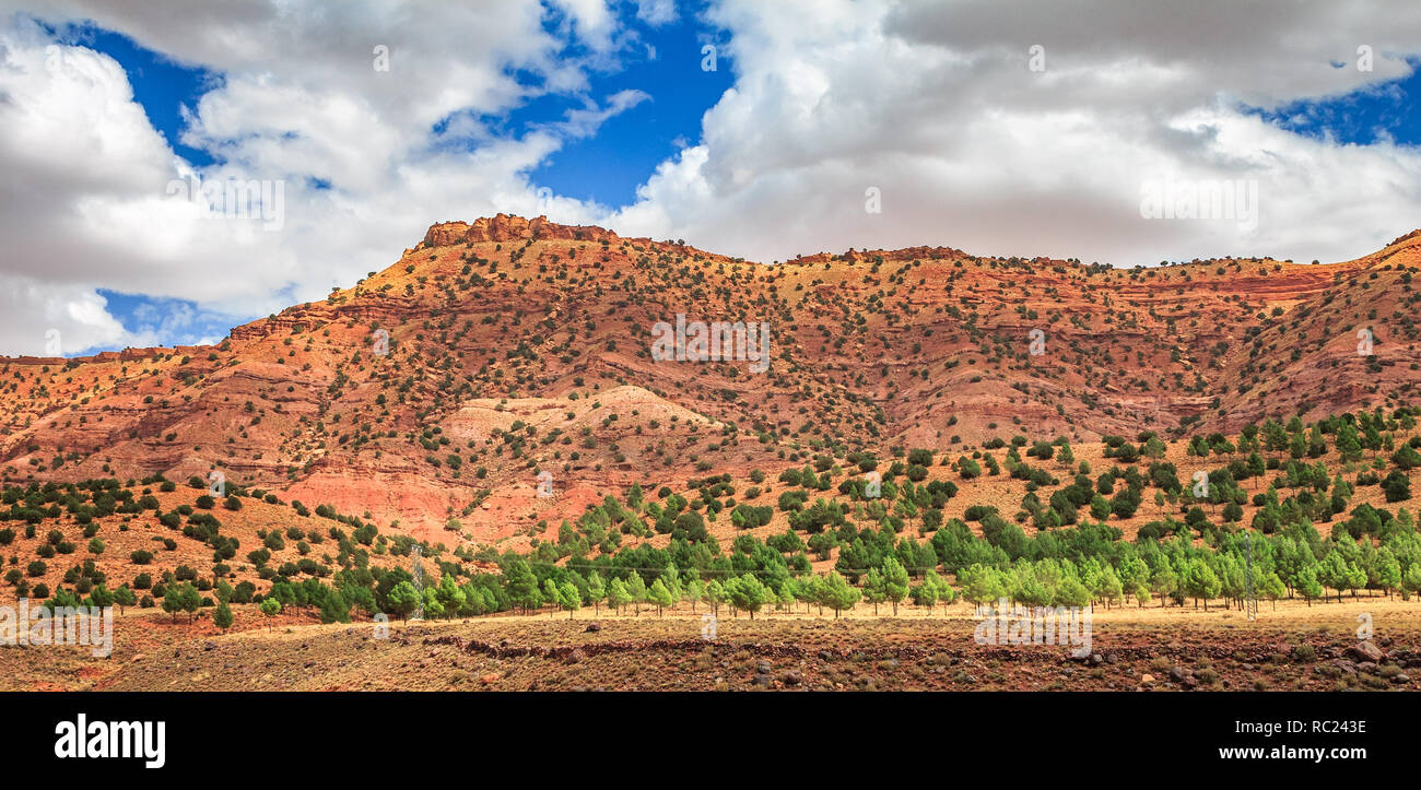 Northern Africa Landscape