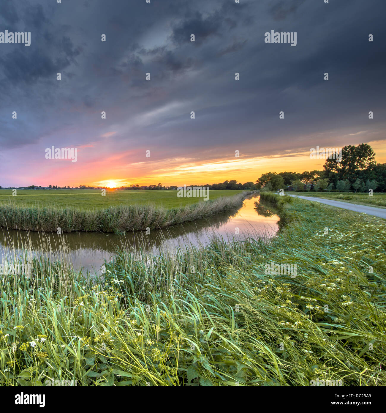 Kardingemaar hi-res stock photography and images - Alamy
