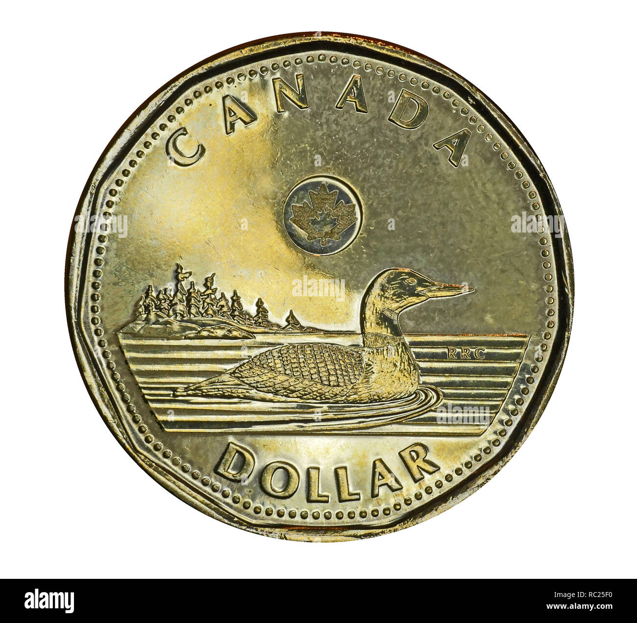 OTTAWA - JANUARY 2019: Canada's one dollar coin features a loon, a ...