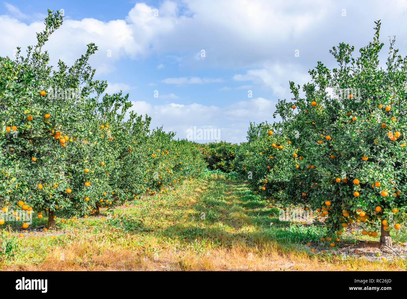 Cloud rows hi-res stock photography and images - Alamy
