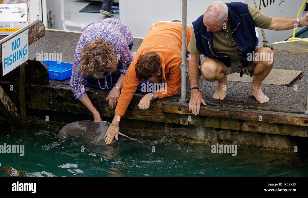 Marina bait hi-res stock photography and images - Alamy