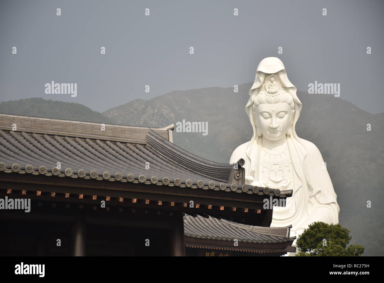 Tsz Shan Monastery High Resolution Stock Photography and Images - Alamy
