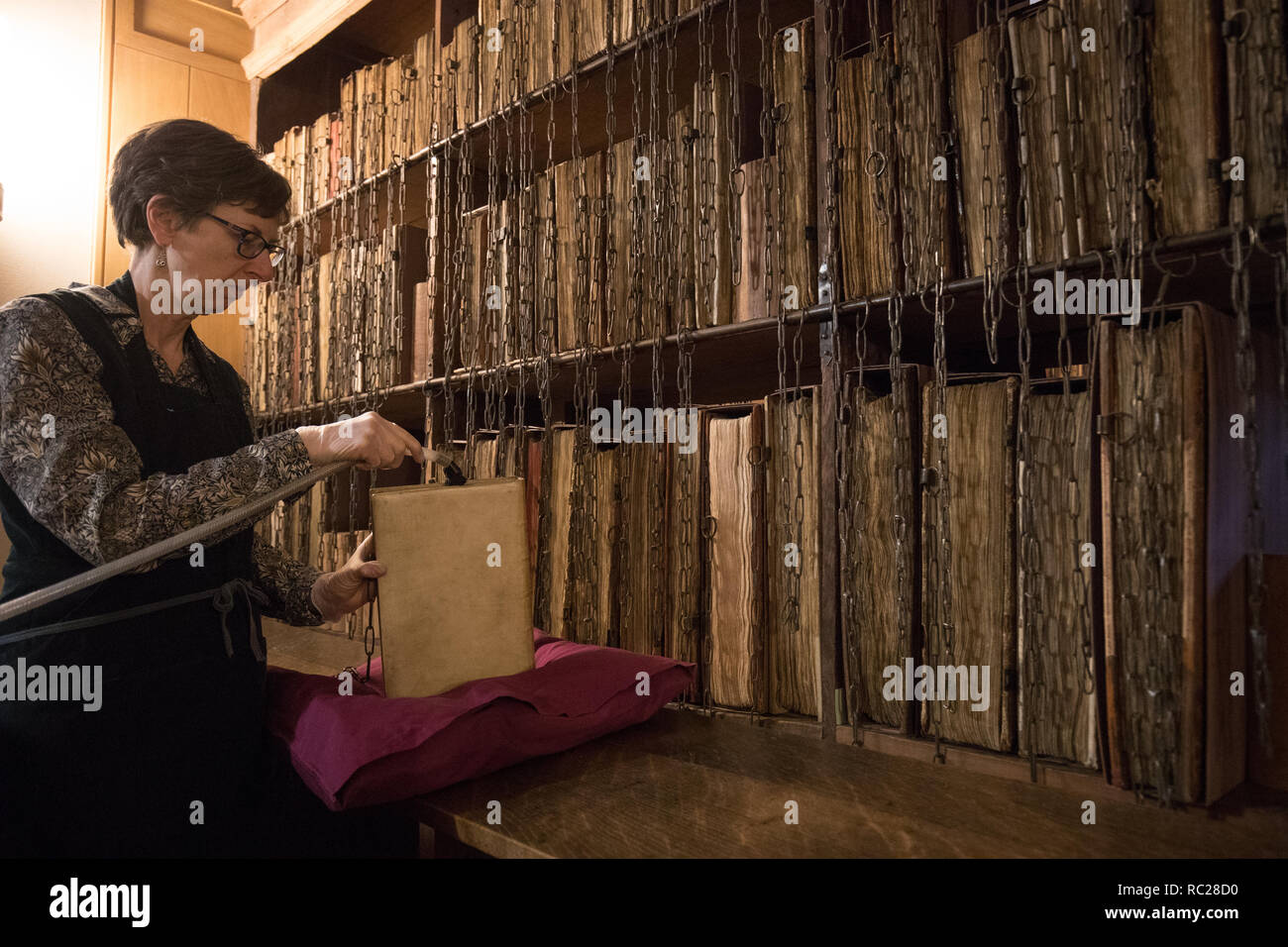 Dr Rosemary Firman during the annual clean of the Hereford Chained ...