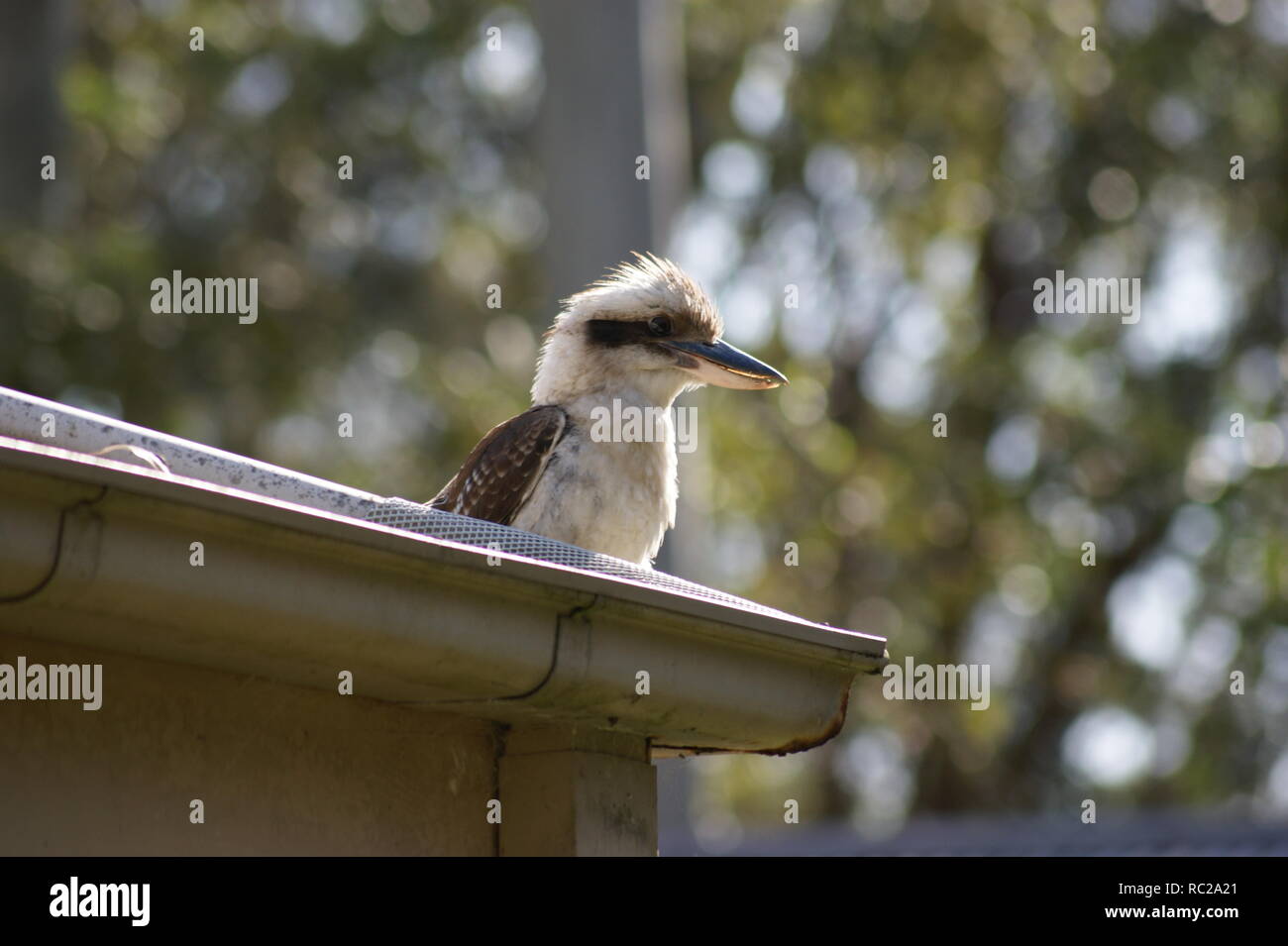 Corner gutter hi-res stock photography and images - Alamy