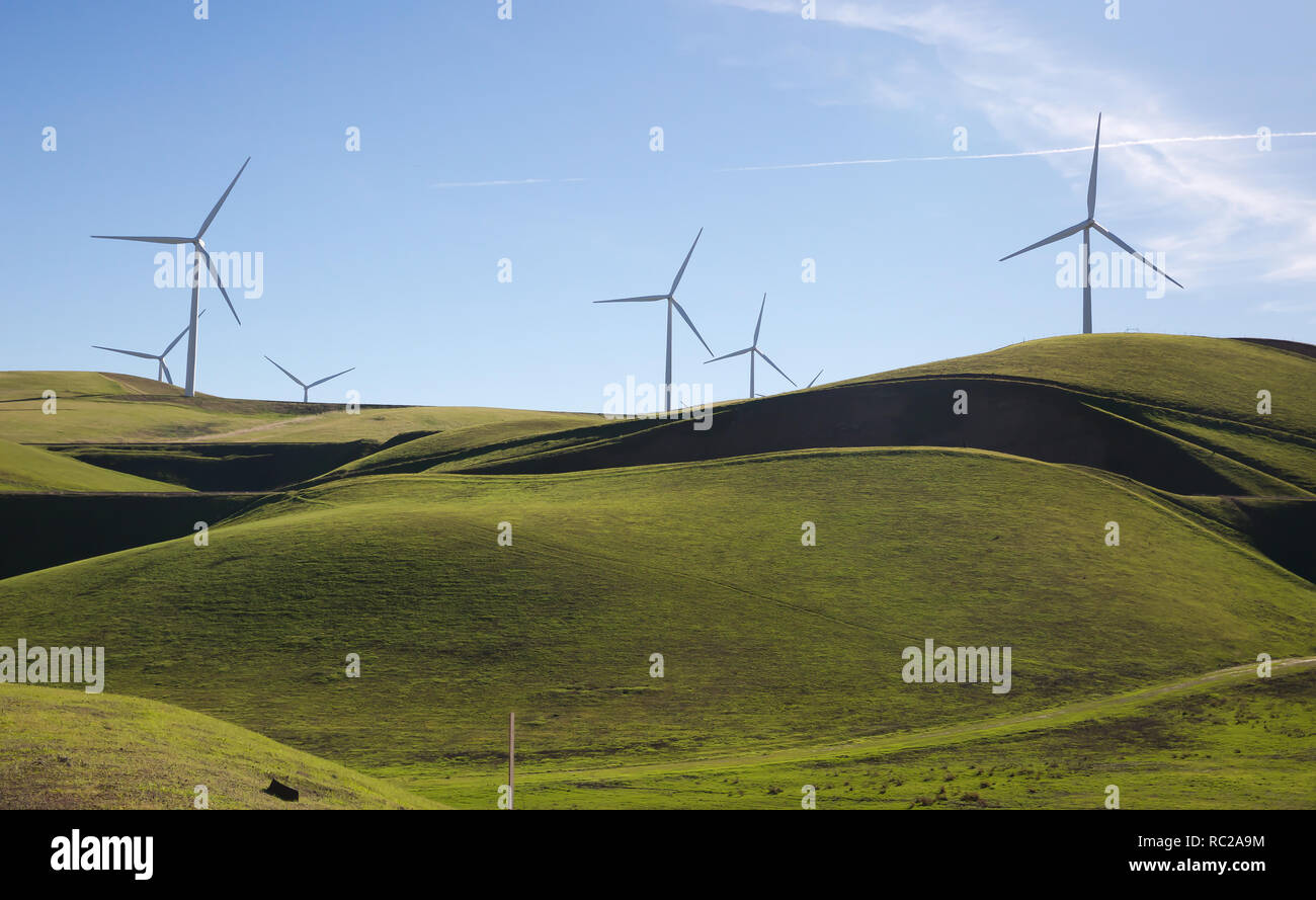 Wind Turbines on the top of green rolling hills in Livermore Valley ...