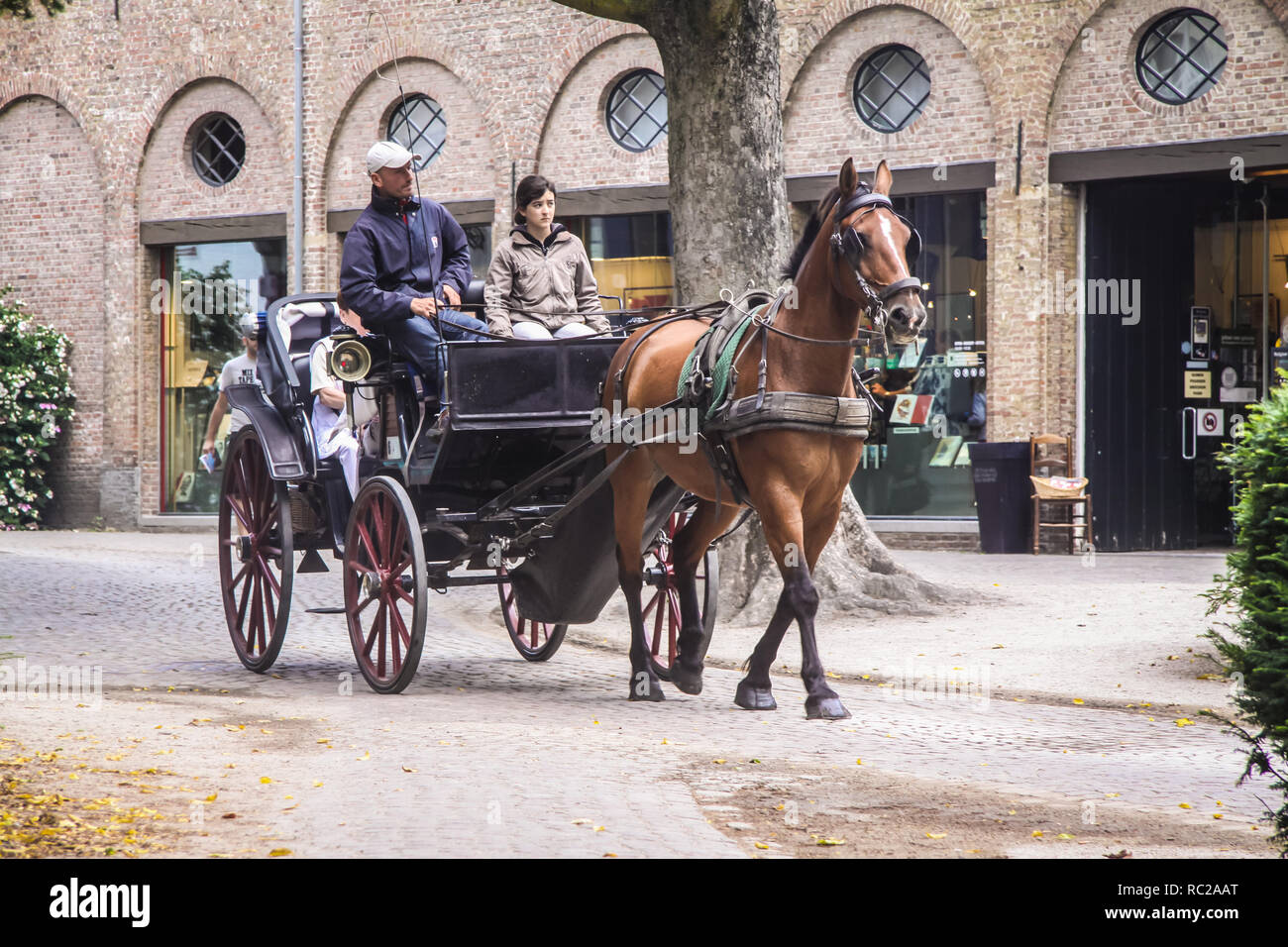 Hackney carriage horse hi-res stock photography and images - Alamy