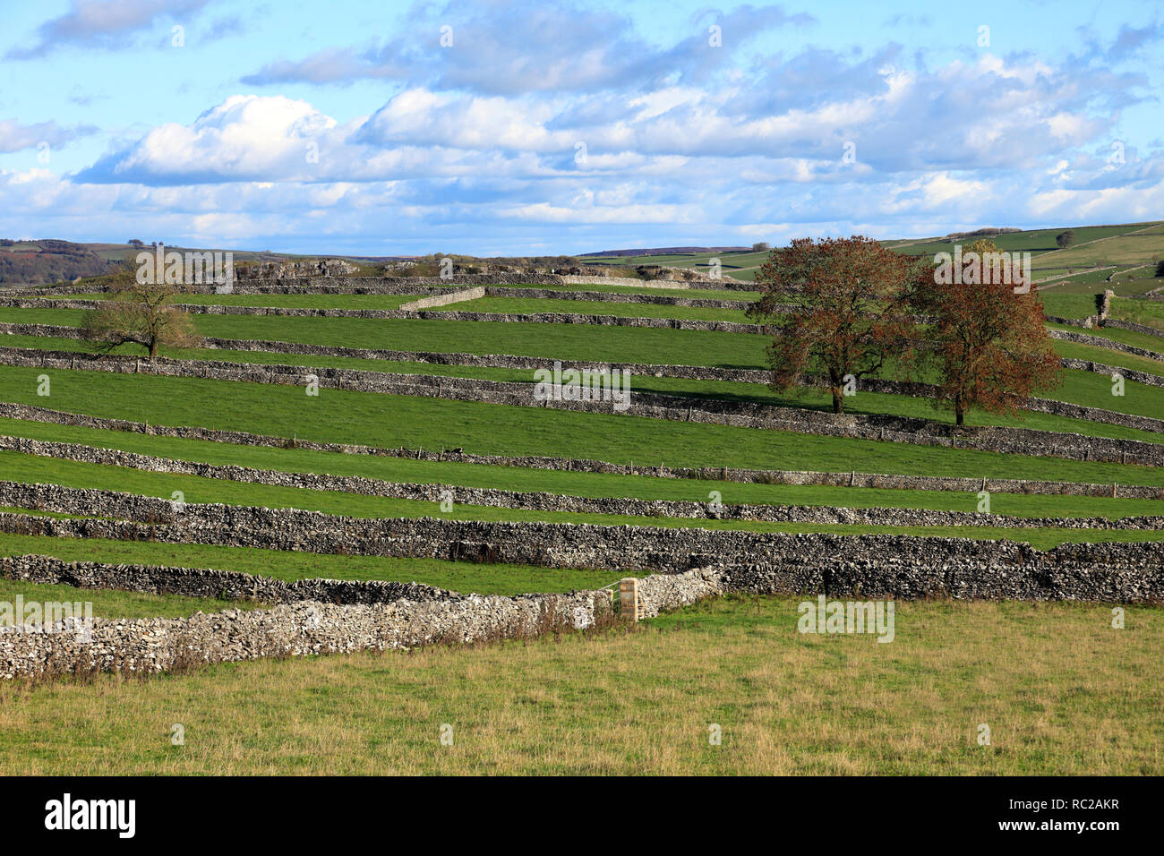 View over the Drystone walls around Littondale, Litton village, Peak ...