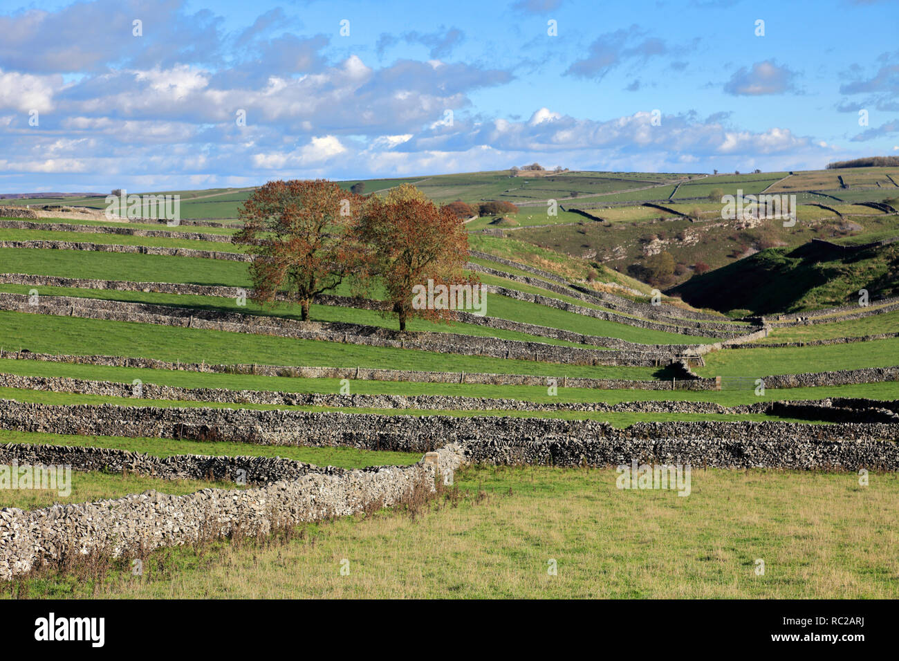 View over the Drystone walls around Littondale, Litton village, Peak ...