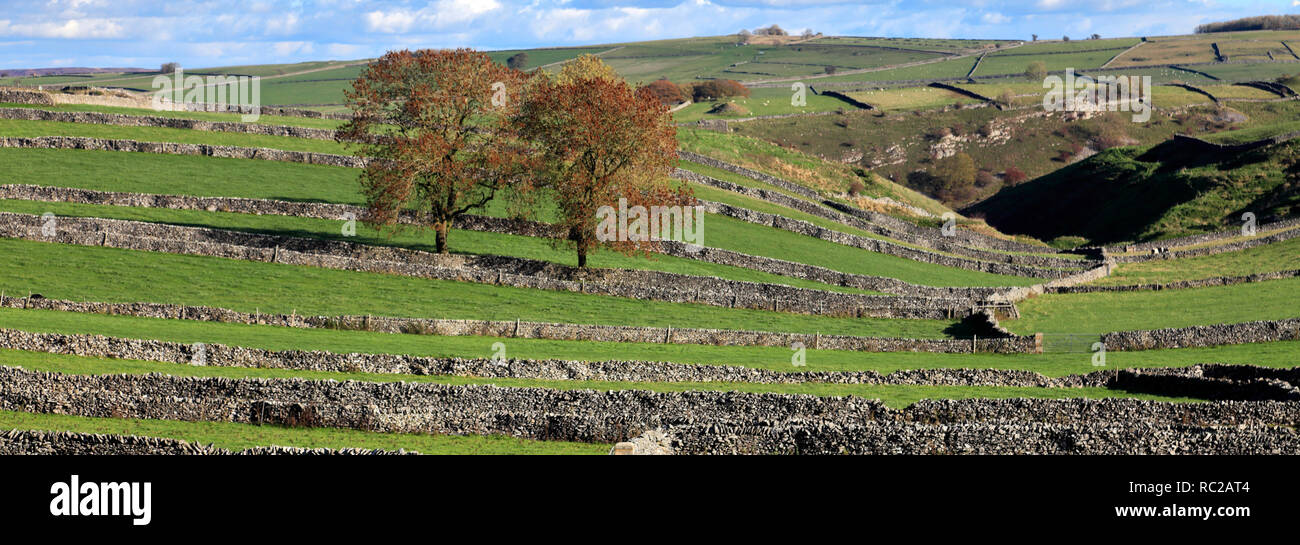 View over the Drystone walls around Littondale, Litton village, Peak ...