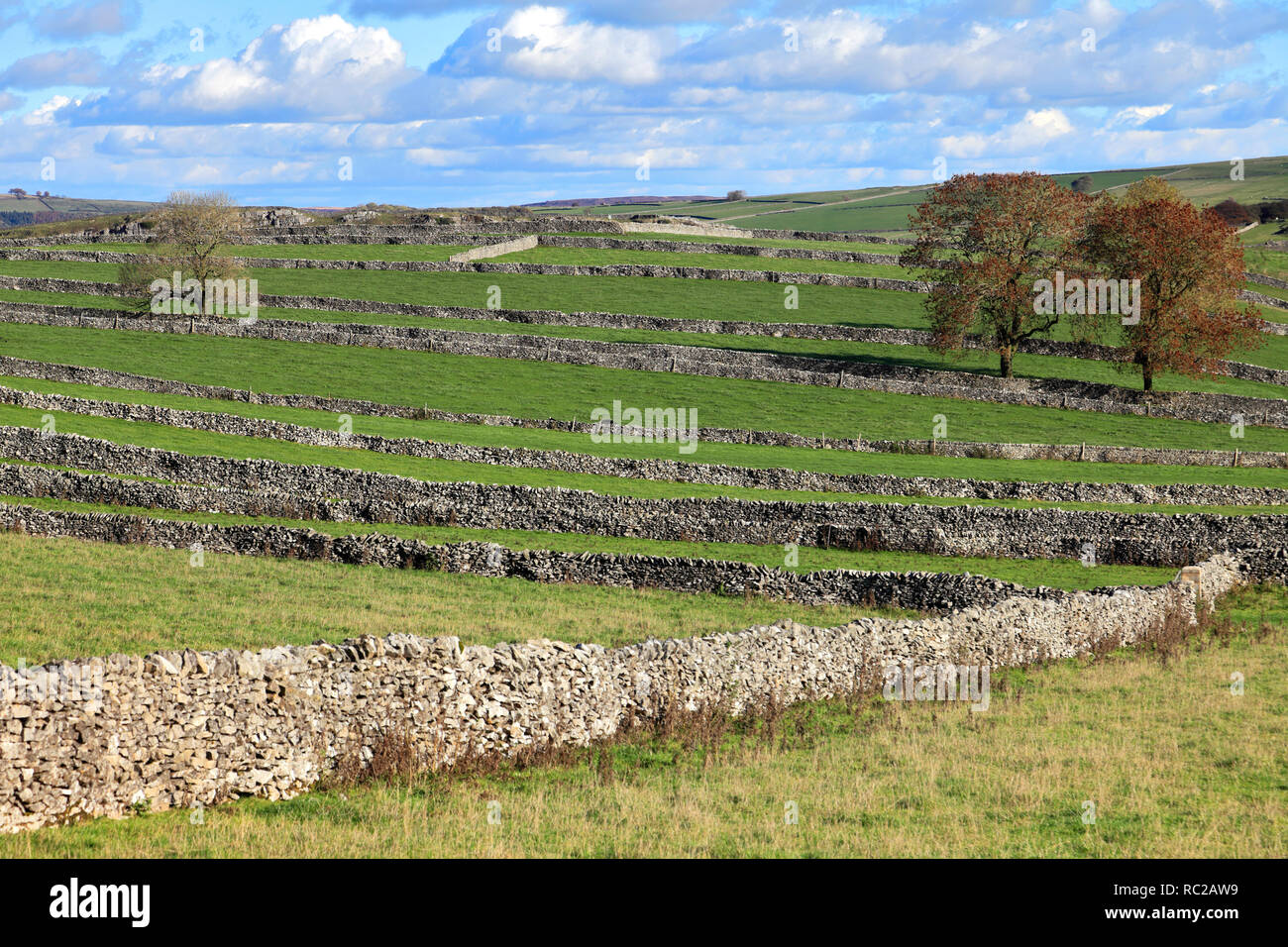 View over the Drystone walls around Littondale, Litton village, Peak ...