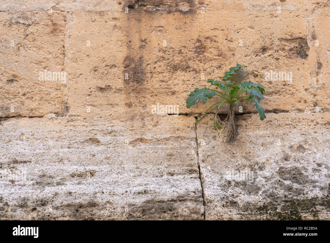 Ancient spanish background brickwork hi-res stock photography and ...