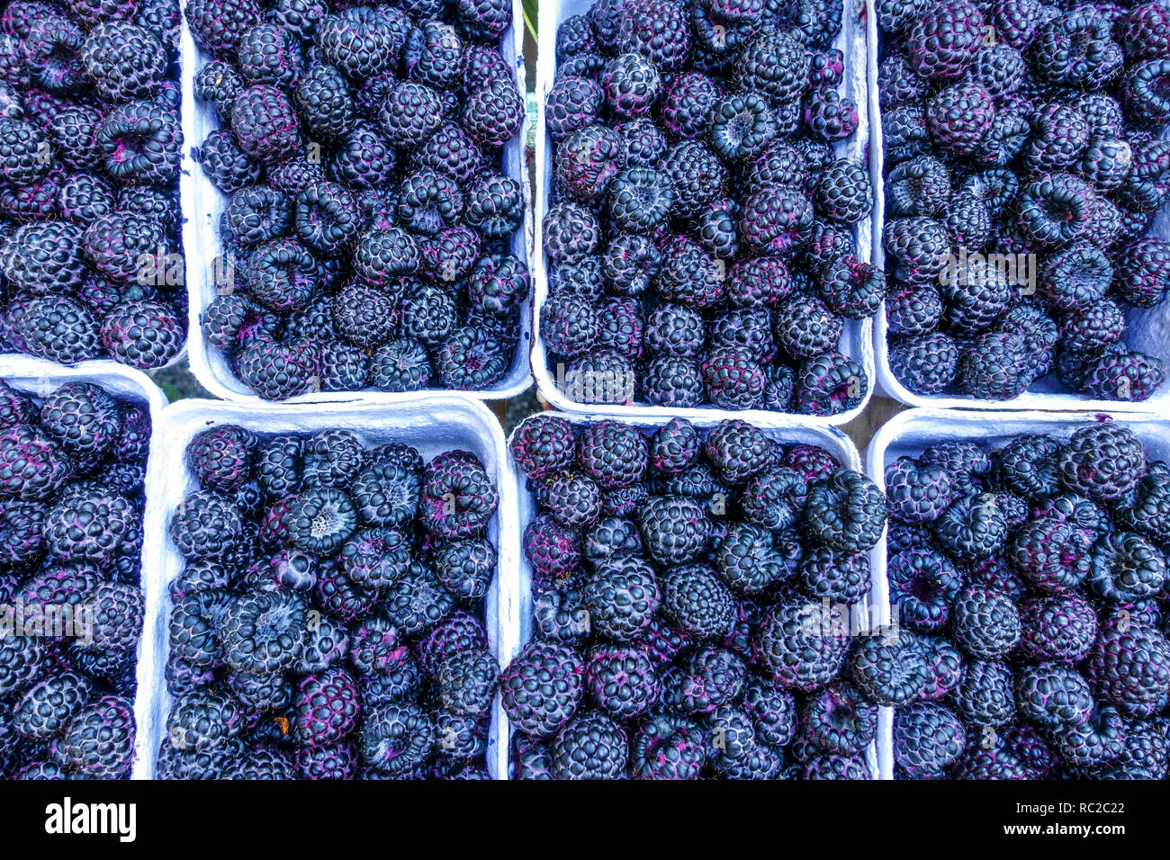 Blackberry fruit market hi-res stock photography and images - Alamy