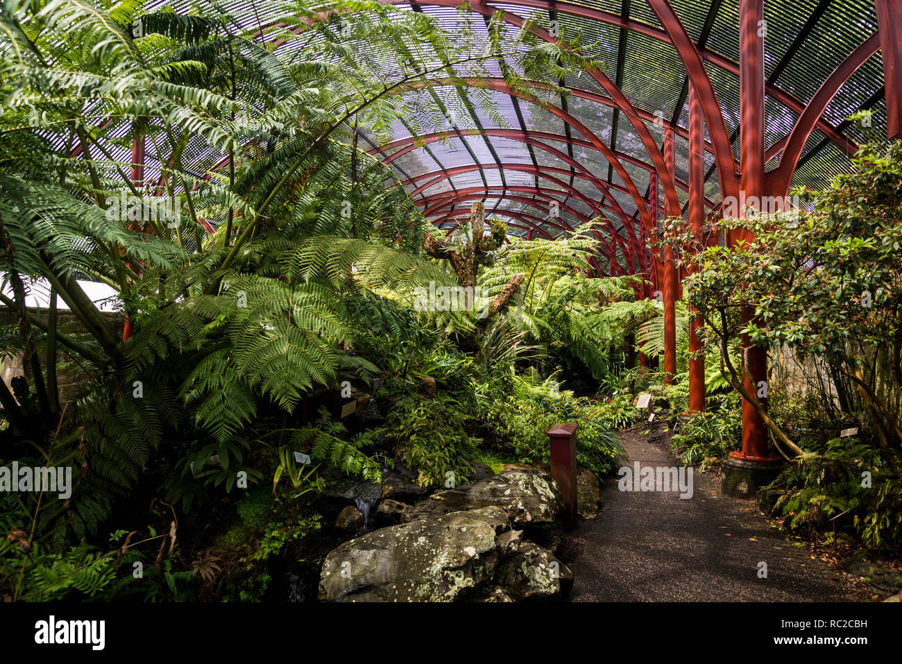 Sydney Fernery glasshouse, Royal Botanic Gardens, Sydney, NSW ...